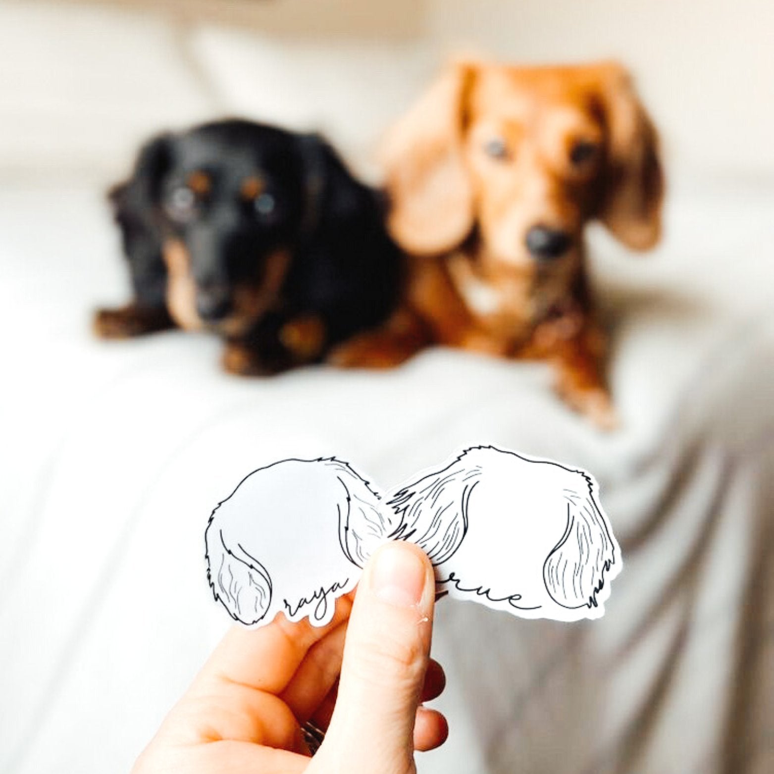 Custom Dog Ears – Venture Pup
